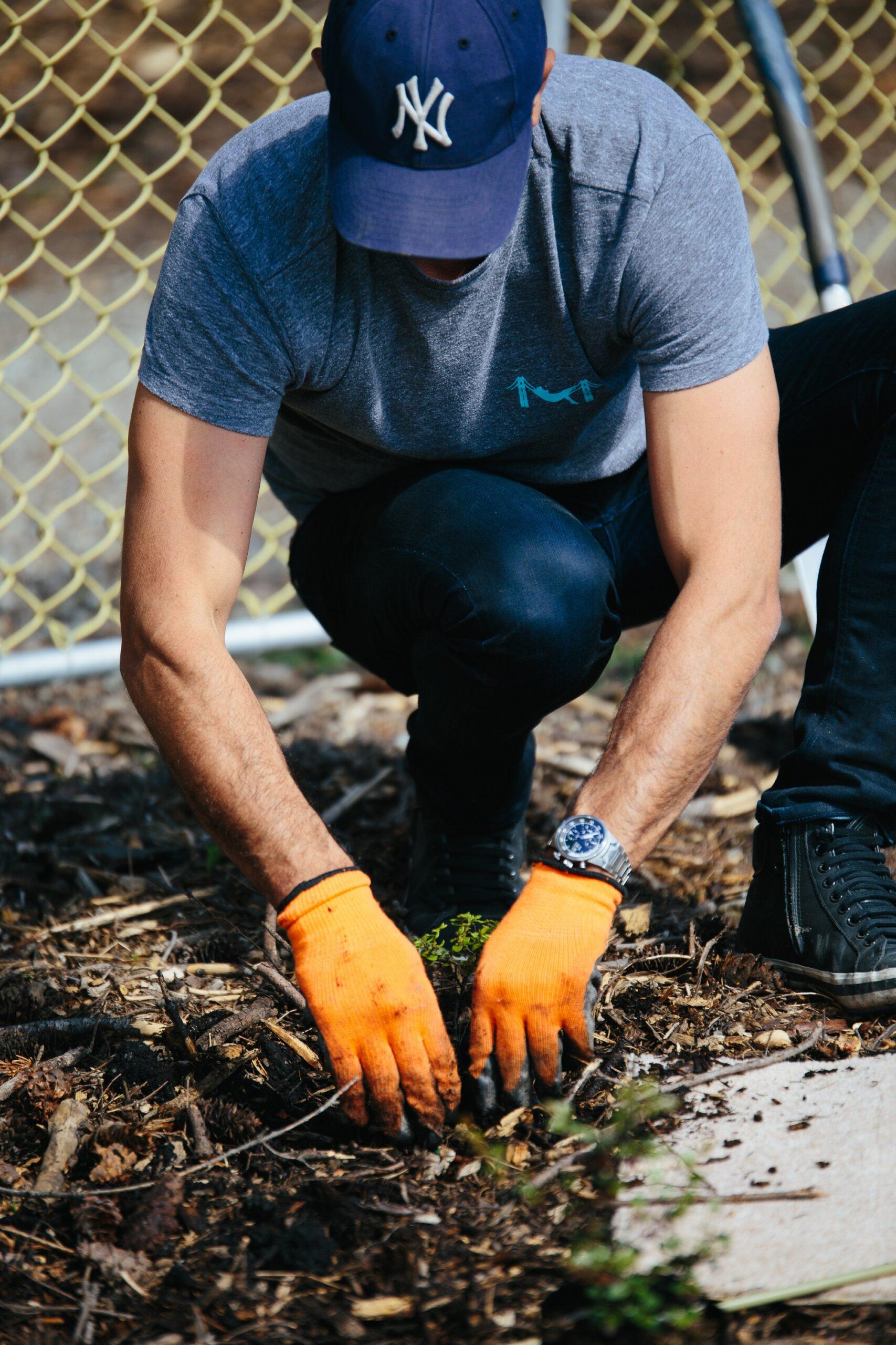 Trees That Count pushes for Arbor Day planting record - Times
