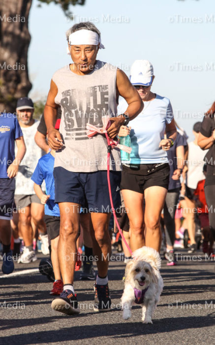 Howick Rotary fun run - Times