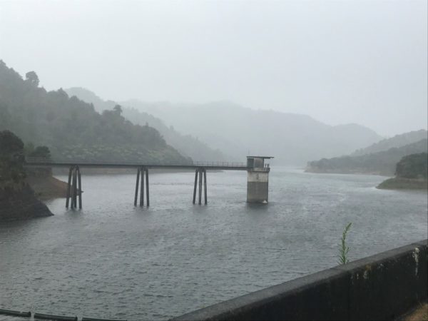 Dam storage levels back up over the 60% mark - Times