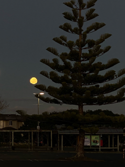 Sublime supermoon - Feedback, Reader Photo | Times