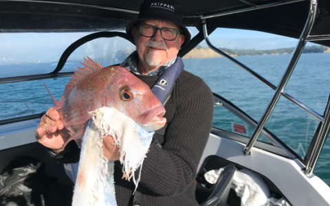 Snapper in favourite spots - Times