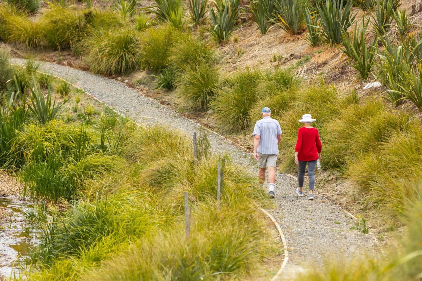 Paerata Rise - the lifestyle move you’ve been waiting for - Times