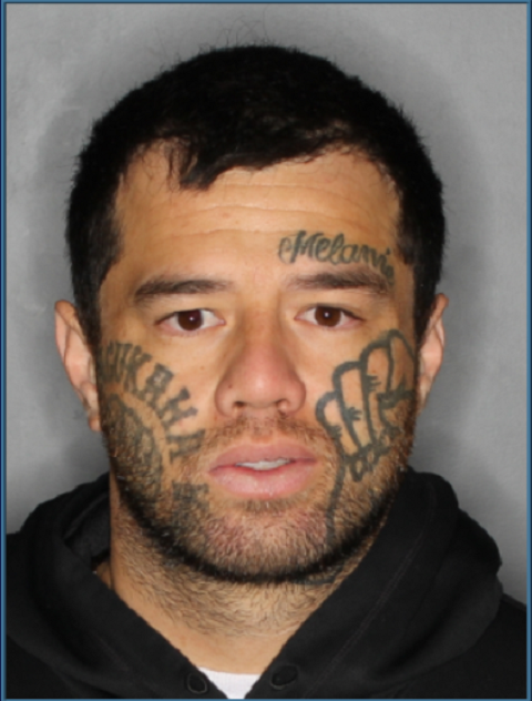 Police seeking Michael Tautari - Times